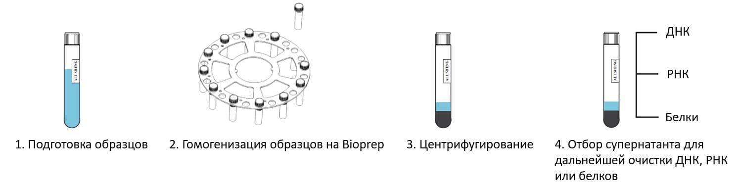 Гомогенизатор лабораторный Bioprep-6 на 6 образцов, Allsheng купить для ...